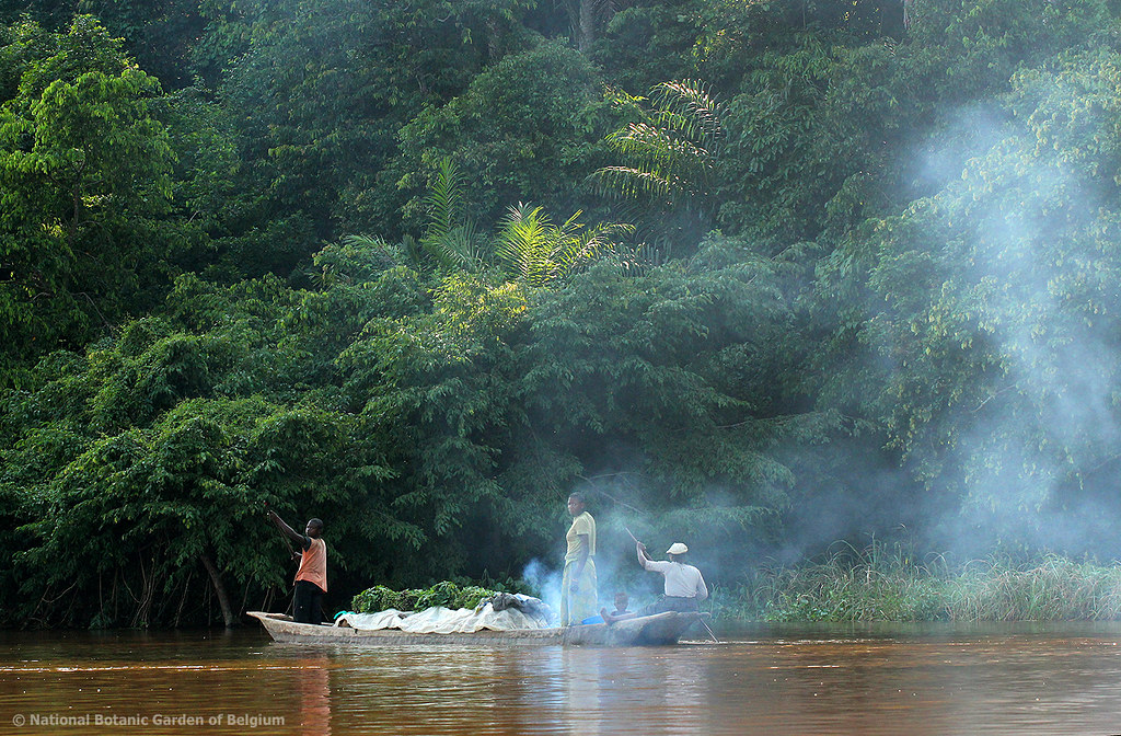 How to Measure the Water Current of the Aruwimi River