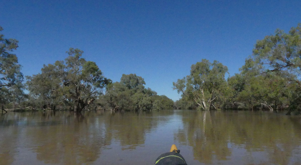 ADCP in Culgoa River Flood Management