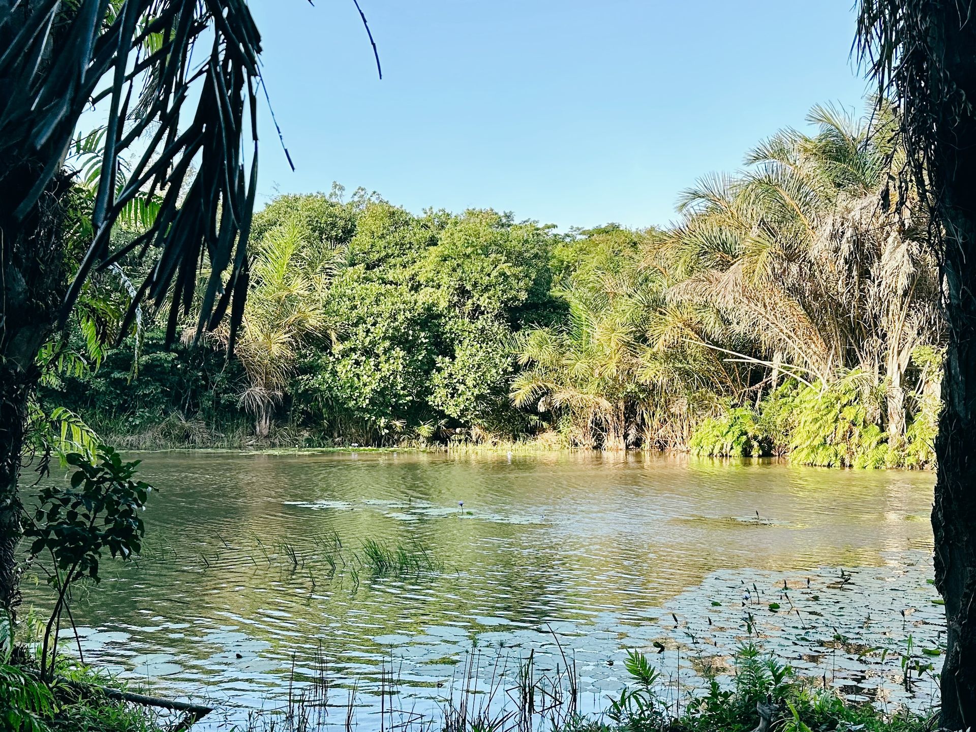 How are Mkuranga's coastal currents measured?